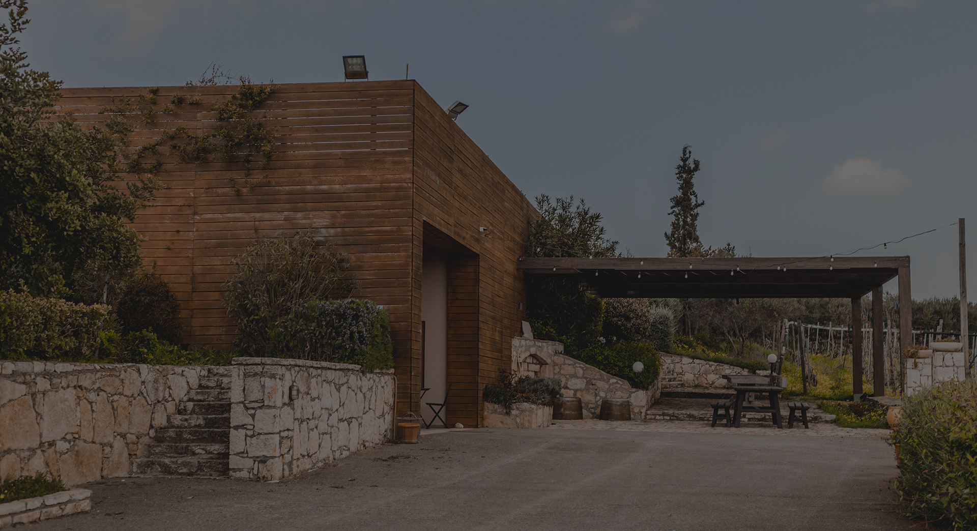 Wines of Crete & Wine Tours - Lyrarakis Winery Crete Greece